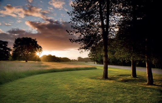 Hildon – Natural Mineral Water - Luxury Hospitality Magazine