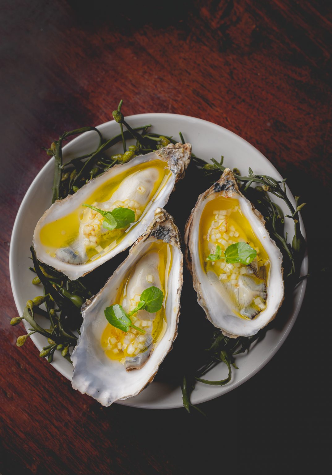 The Parakeet- New Pub & Dining Room set to open in Kentish Town ...