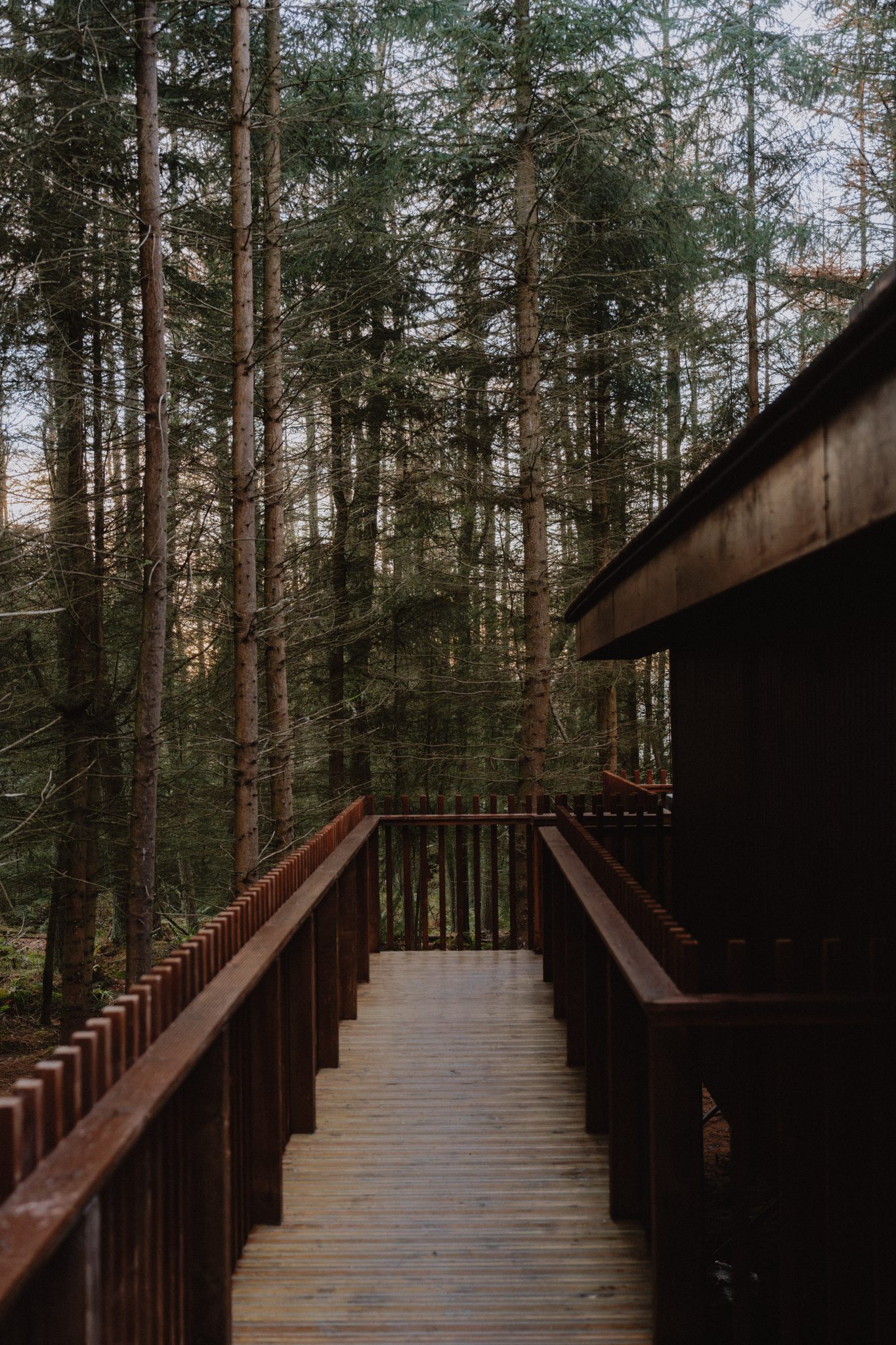 Interview with biophilic designer, Oliver Heath - Luxury Hospitality ...